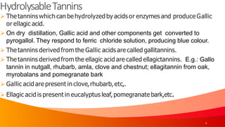 Tannins.pptx