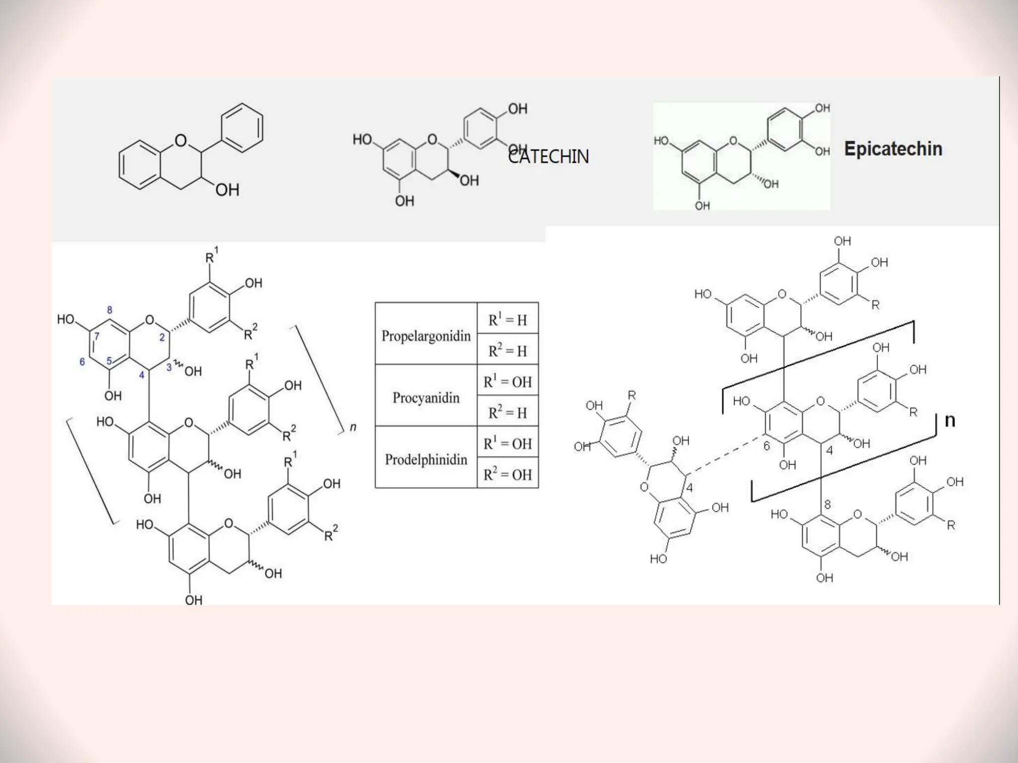 Tannins structure in medicinal plants.pptx