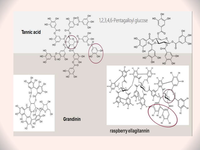 Tannins structure in medicinal plants.pptx