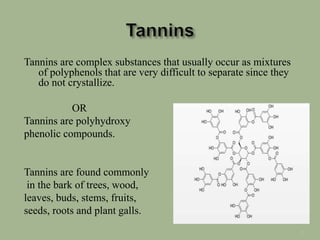 Tannins | PPTX