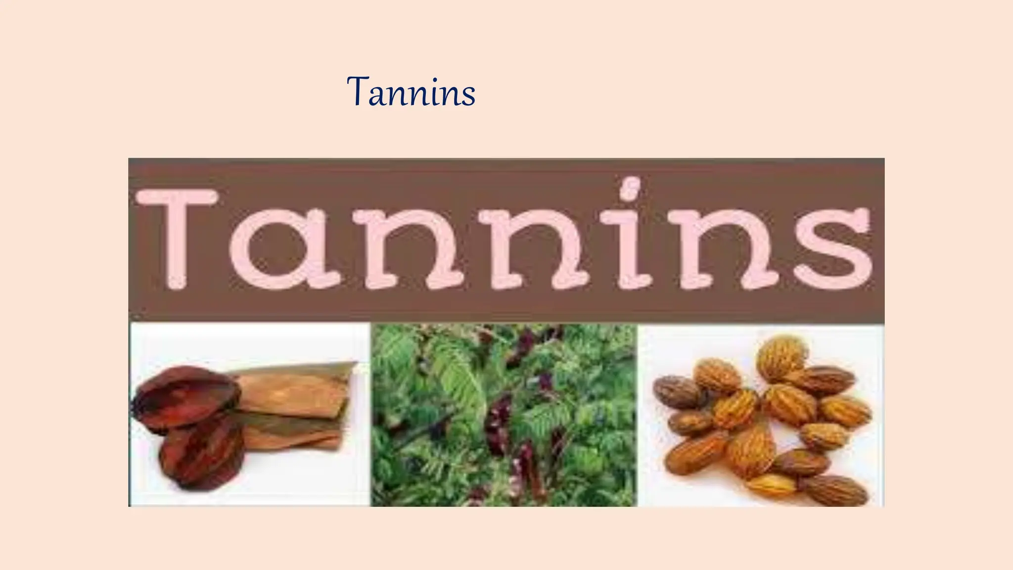tannins ppt.pptx