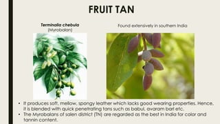 Tannin yielding plants | PDF