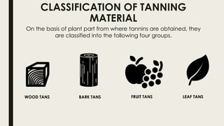 Tannin yielding plants | PDF