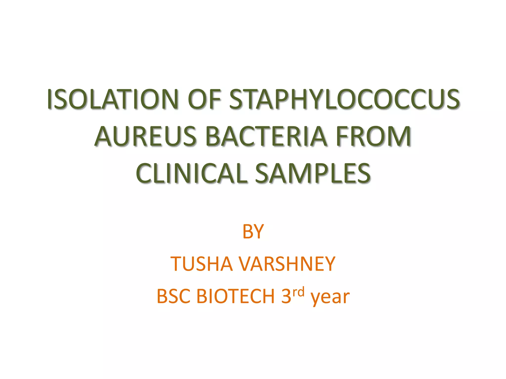 Staphylococcus aureus bacteria ppt | PPTX