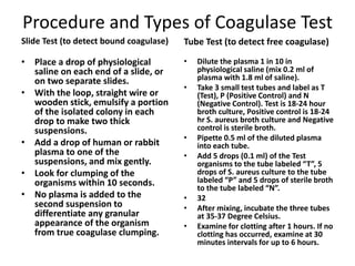 Staphylococcus aureus bacteria ppt | PPTX