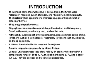 Staphylococcus aureus bacteria ppt | PPTX