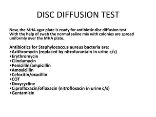 Staphylococcus aureus bacteria ppt | PPTX