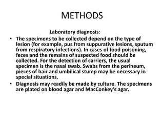 Staphylococcus aureus bacteria ppt | PPTX