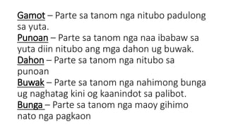 TANOM - THE PLANTS 2ND QUARTER IN SCIENCE 3 | PPTX