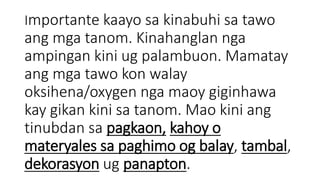 TANOM - THE PLANTS 2ND QUARTER IN SCIENCE 3 | PPTX