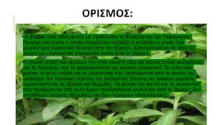 ΣΤΕΒΙΑ | PPT