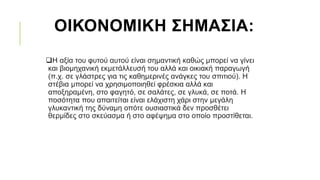ΣΤΕΒΙΑ | PPT