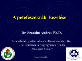 Tanterem2016petefészek+vulva honlap | PPT