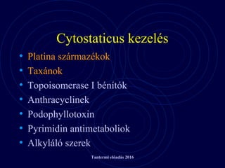 Tanterem2016petefészek+vulva honlap | PPT