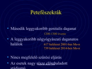 Tanterem2016petefészek+vulva honlap | PPT