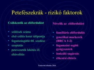 Tanterem2016petefészek+vulva honlap | PPT