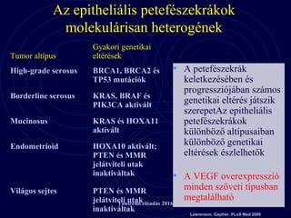 Tanterem2016petefészek+vulva honlap | PPT