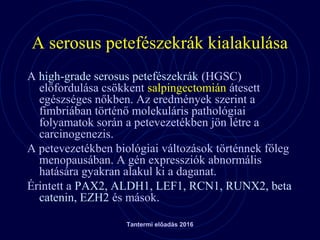 Tanterem2016petefészek+vulva honlap | PPT