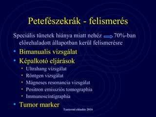Tanterem2016petefészek+vulva honlap | PPT
