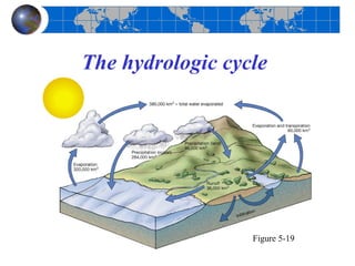 Salinity and it's distribution | PPT