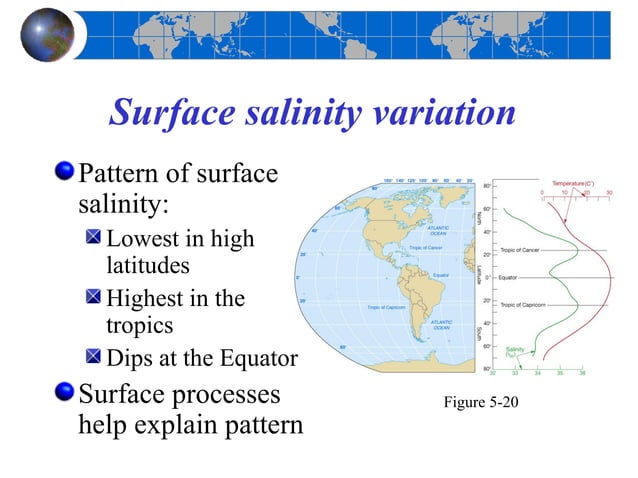 Salinity and it's distribution | PPT