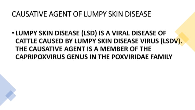 Lumpy Skin Disease: Causes, Symptoms, Prevention And Treatment – BKDS