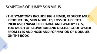 Lumpy Skin Disease slideshare | PPTX
