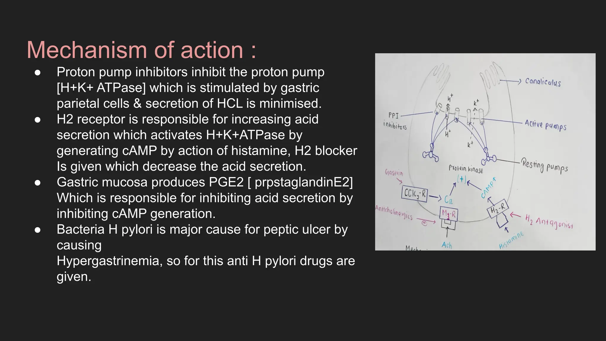 Peptic ulcer and drugs used in its treatment | PDF