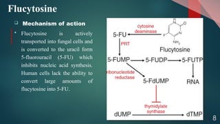 Anti fungal drugs and their mechanism of action.pptx