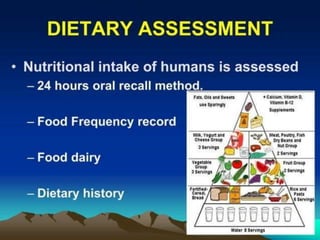 NUTRITIONAL ASSESSMENT,METHODS AND SIGNS. | PPT