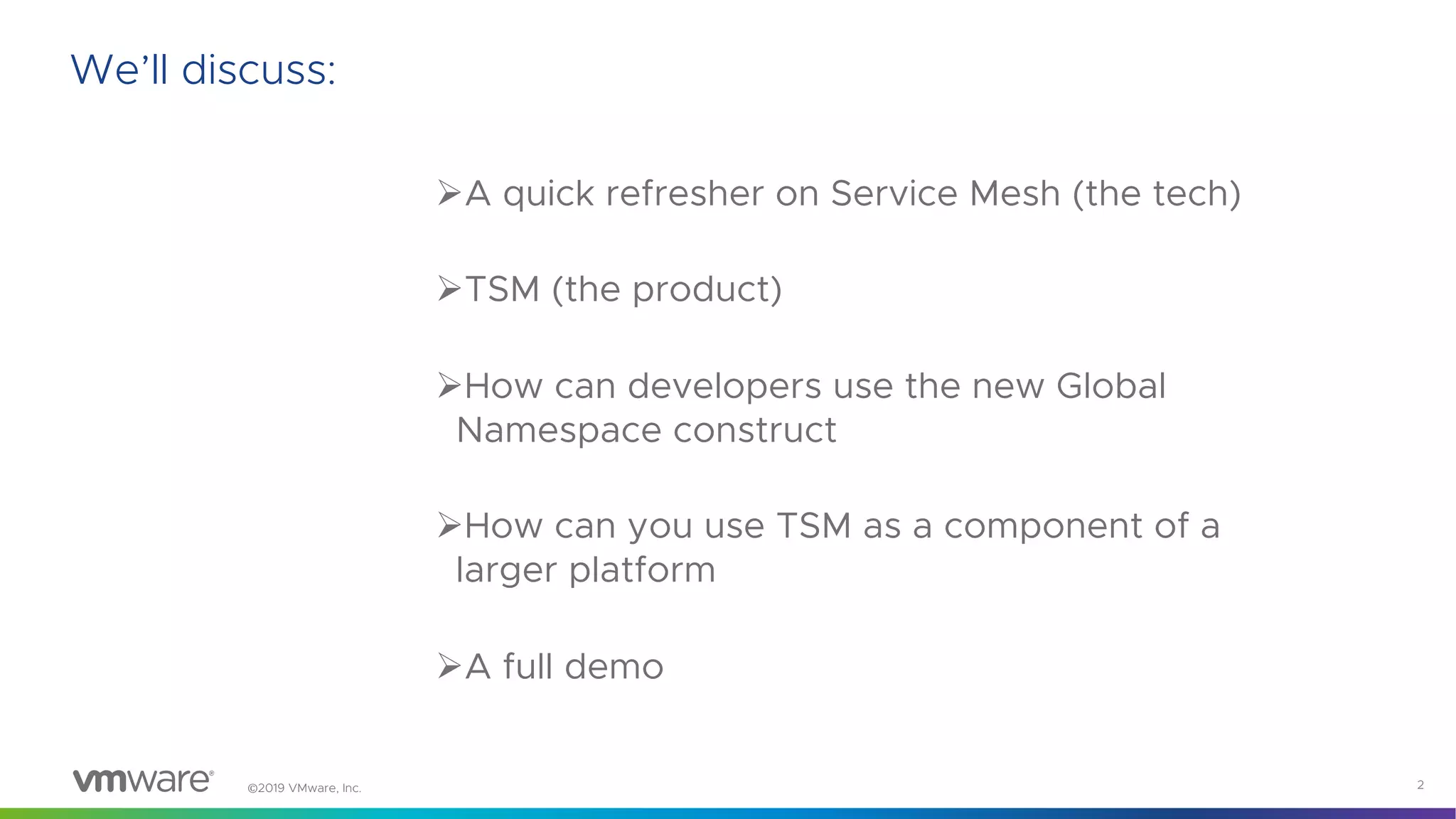 VMware Tanzu Service Mesh from the Developer’s Perspective | PDF