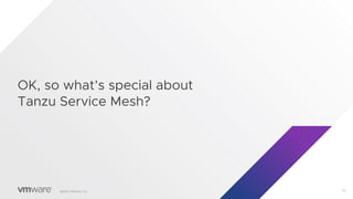 VMware Tanzu Service Mesh from the Developer’s Perspective | PDF