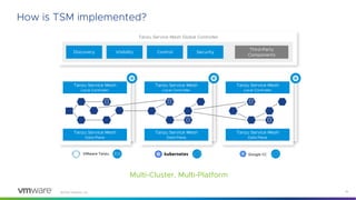 VMware Tanzu Service Mesh from the Developer’s Perspective | PPT
