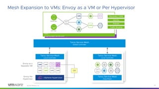 VMware Tanzu Service Mesh from the Developer’s Perspective | PPT