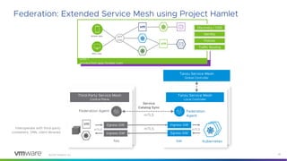 VMware Tanzu Service Mesh from the Developer’s Perspective | PPT