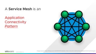 VMware Tanzu Service Mesh from the Developer’s Perspective | PPT