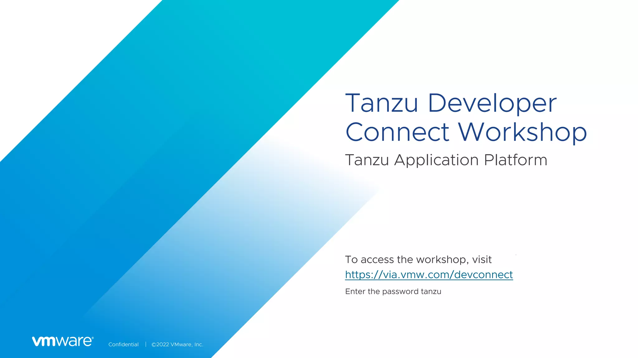 Tanzu Developer Connect Workshop - English | PDF
