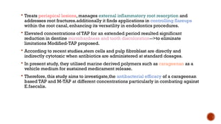 TAP.pptx triple antibiotic paste in dental | PPTX