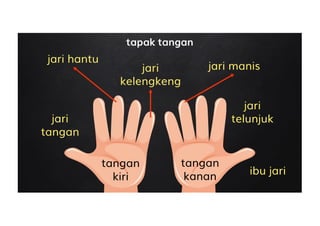 Nama jari-jari tangan dalam Bahasa Melayu | PDF