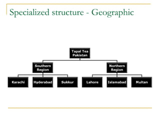Sales Structure of Tapal Tea (Pvt) Limited | PPT