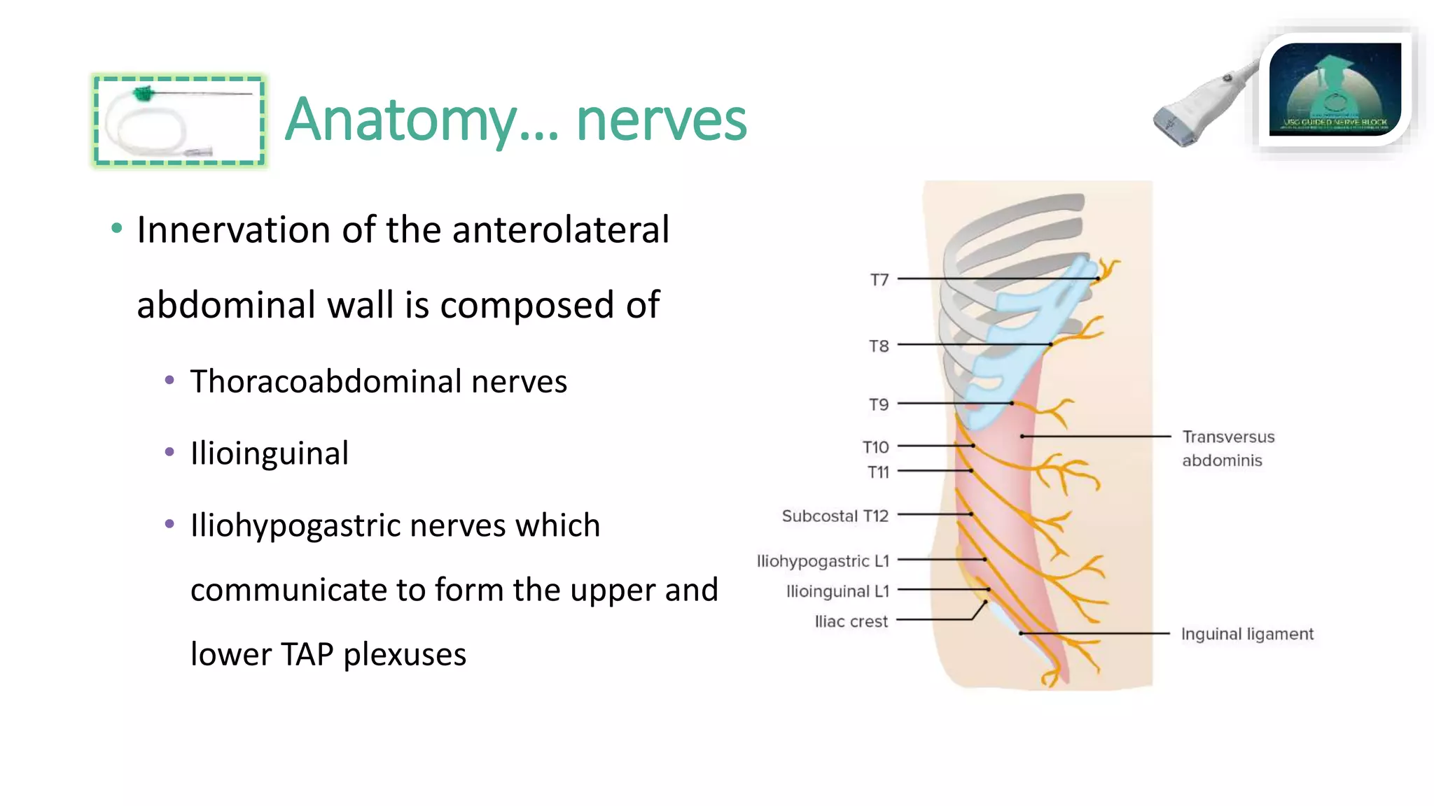 Ultrasound-Guided Transversus Abdominis Plane Blocks | PPTX | Physical ...