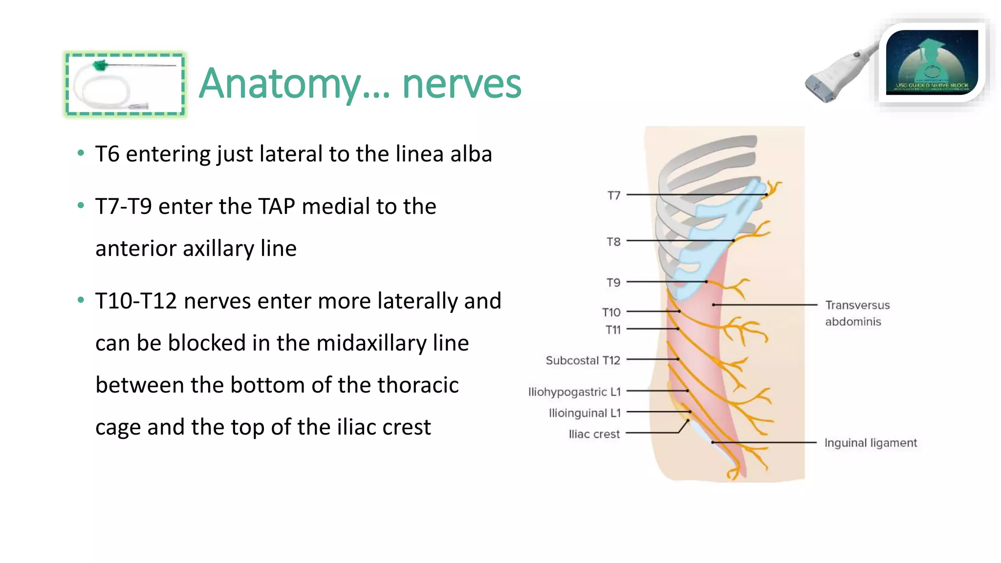 Ultrasound-Guided Transversus Abdominis Plane Blocks | PPTX | Physical ...