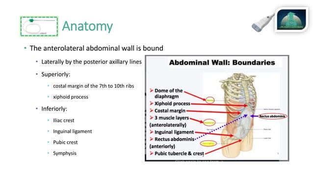 Ultrasound-Guided Transversus Abdominis Plane Blocks | PPTX | Physical ...