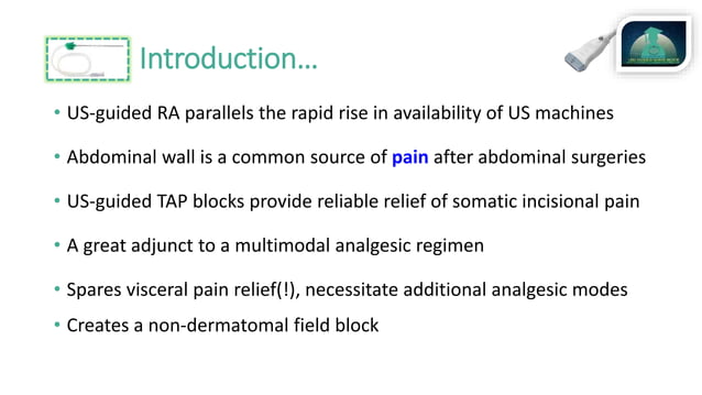 Ultrasound-Guided Transversus Abdominis Plane Blocks | PPTX | Physical ...