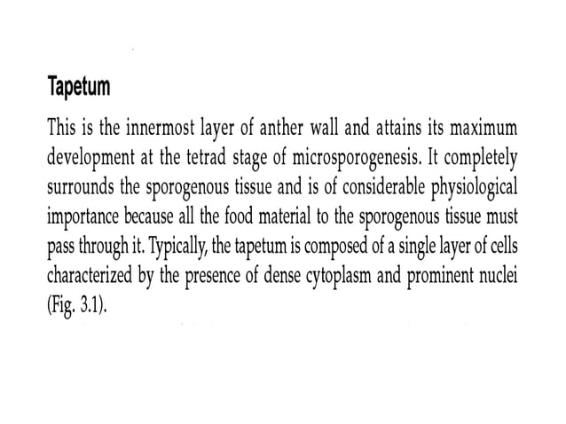 Tapetum, types and function in plants.pptx