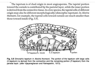 Tapetum, types and function in plants.pptx