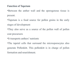Tapetum, types and function in plants.pptx
