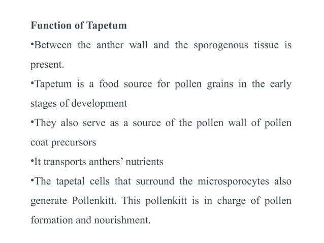 Tapetum, types and function in plants.pptx