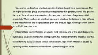TAPE WORM | PPTX