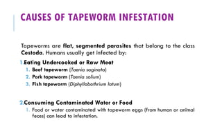 Tapeworm infestation for health sciences | PPTX